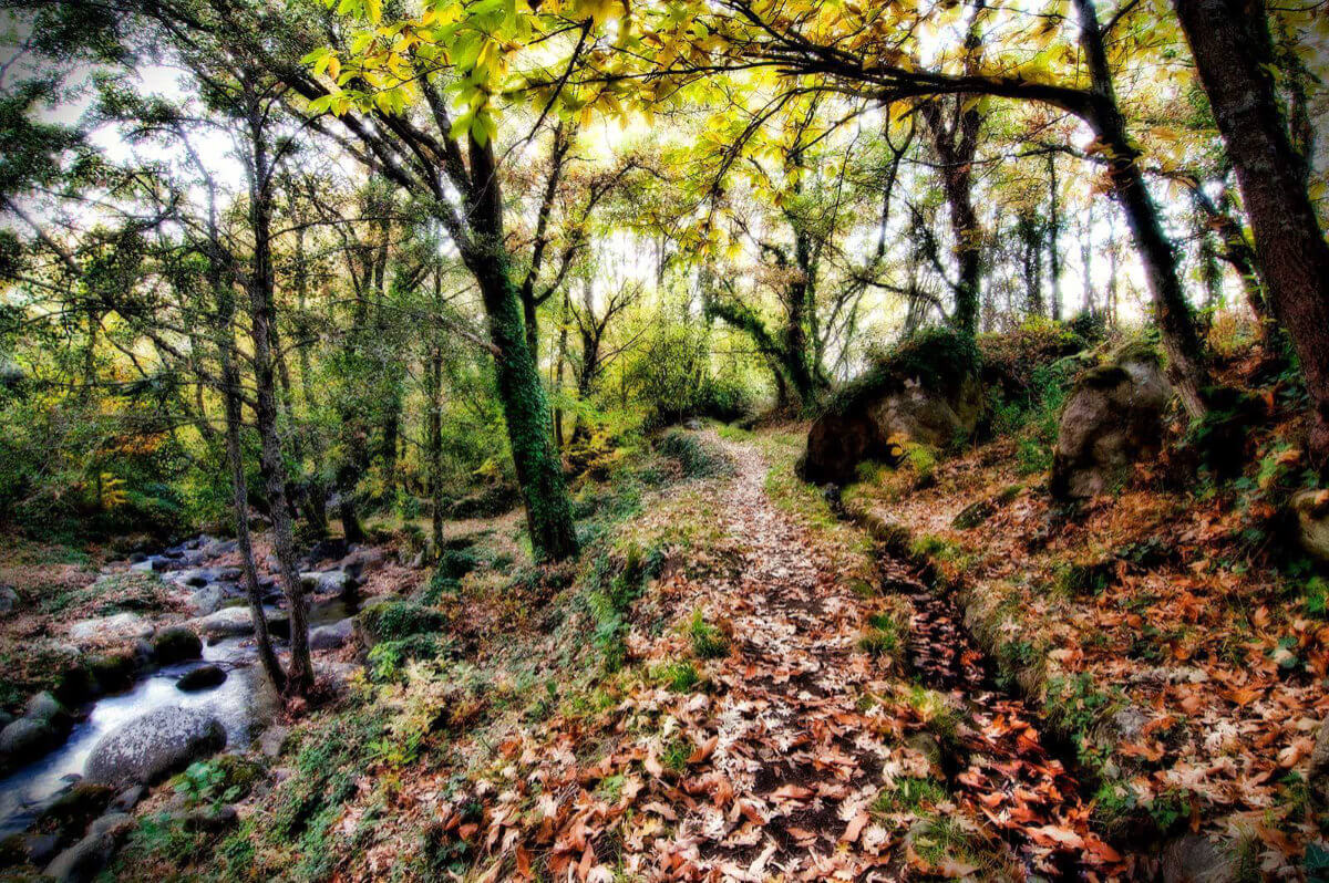 Viajar, conocer y alojarse en el Valle del Ambroz