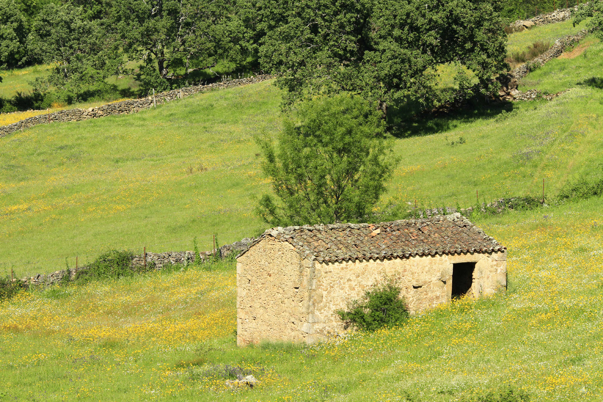 Viajar, conocer y alojarse en el Valle del Ambroz